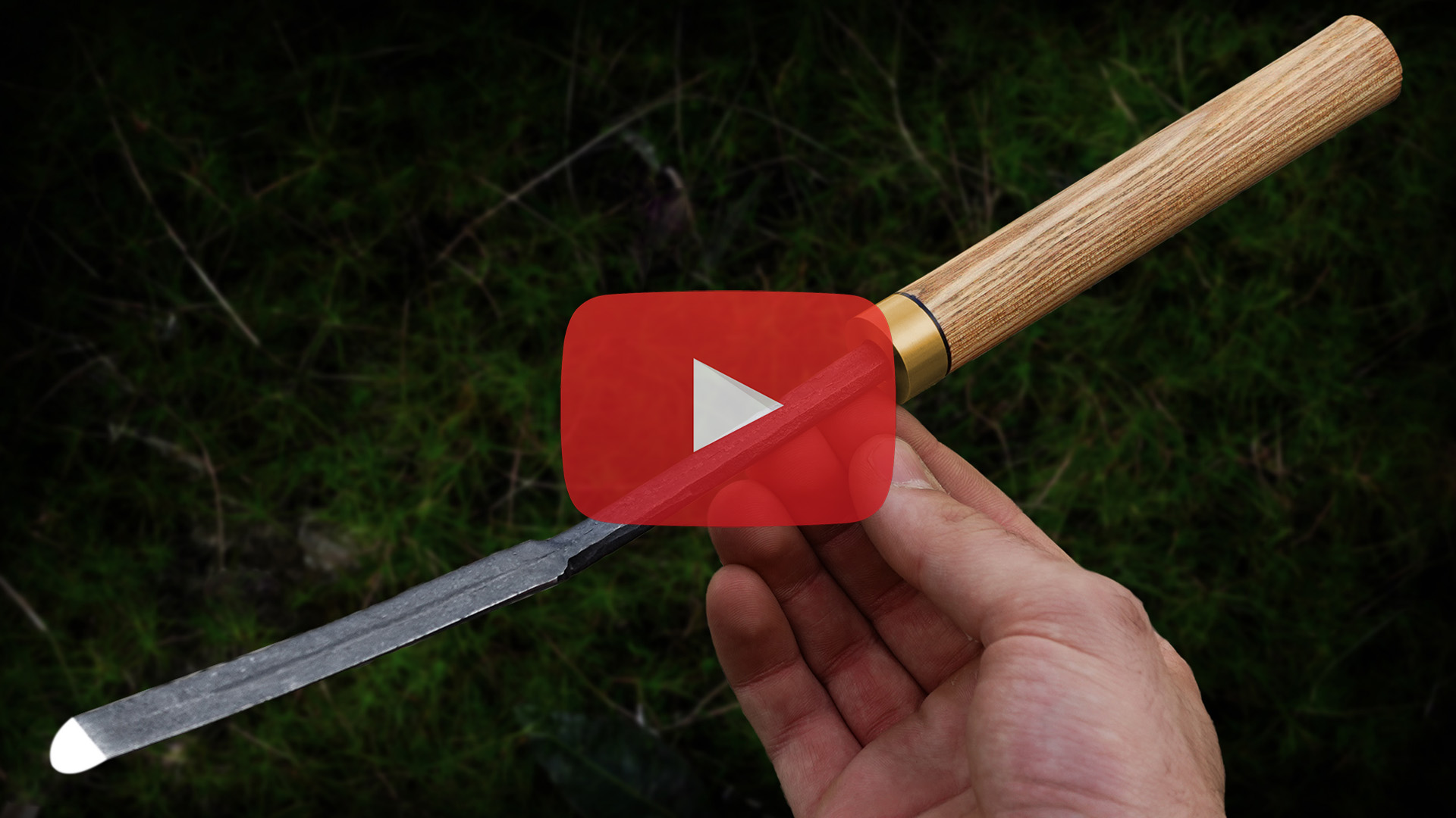 Saya Nomi – Black Beard Projects